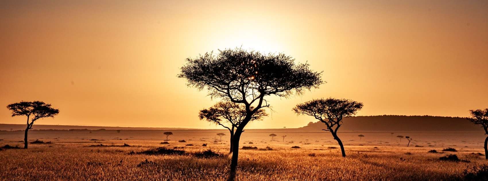 Monitoring Missions and Priorities in Central African Republic